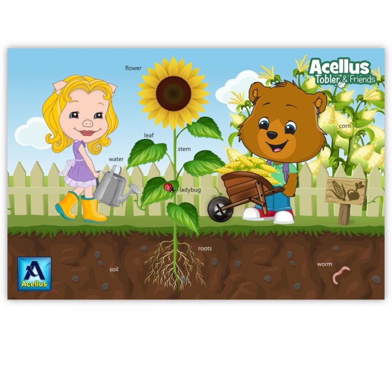 Acellus Learning Accelerator Book – Acellus Store