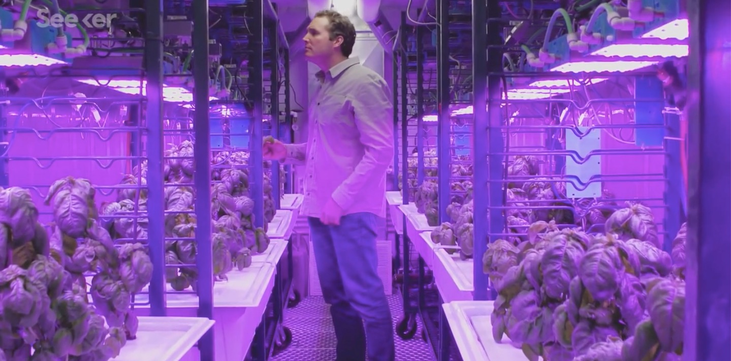 Scientists Use “Food Computers” to Produce Better Food – Acellus