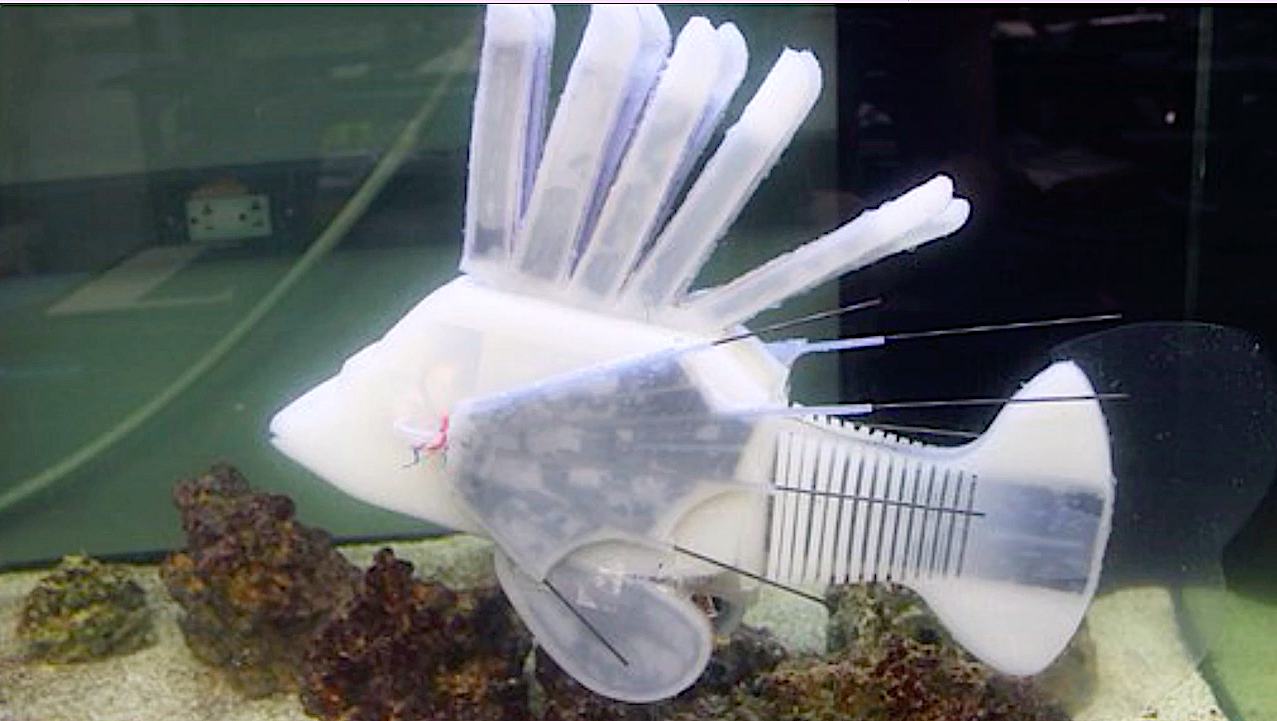 Lionfish Robot Powered by Synthetic, “Electrolytic Blood” – Acellus